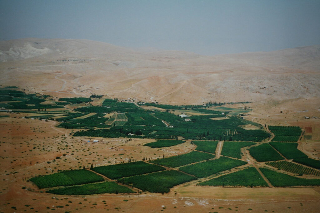 Business as usual in Palestine and Human Rights Due Diligence - SOMO