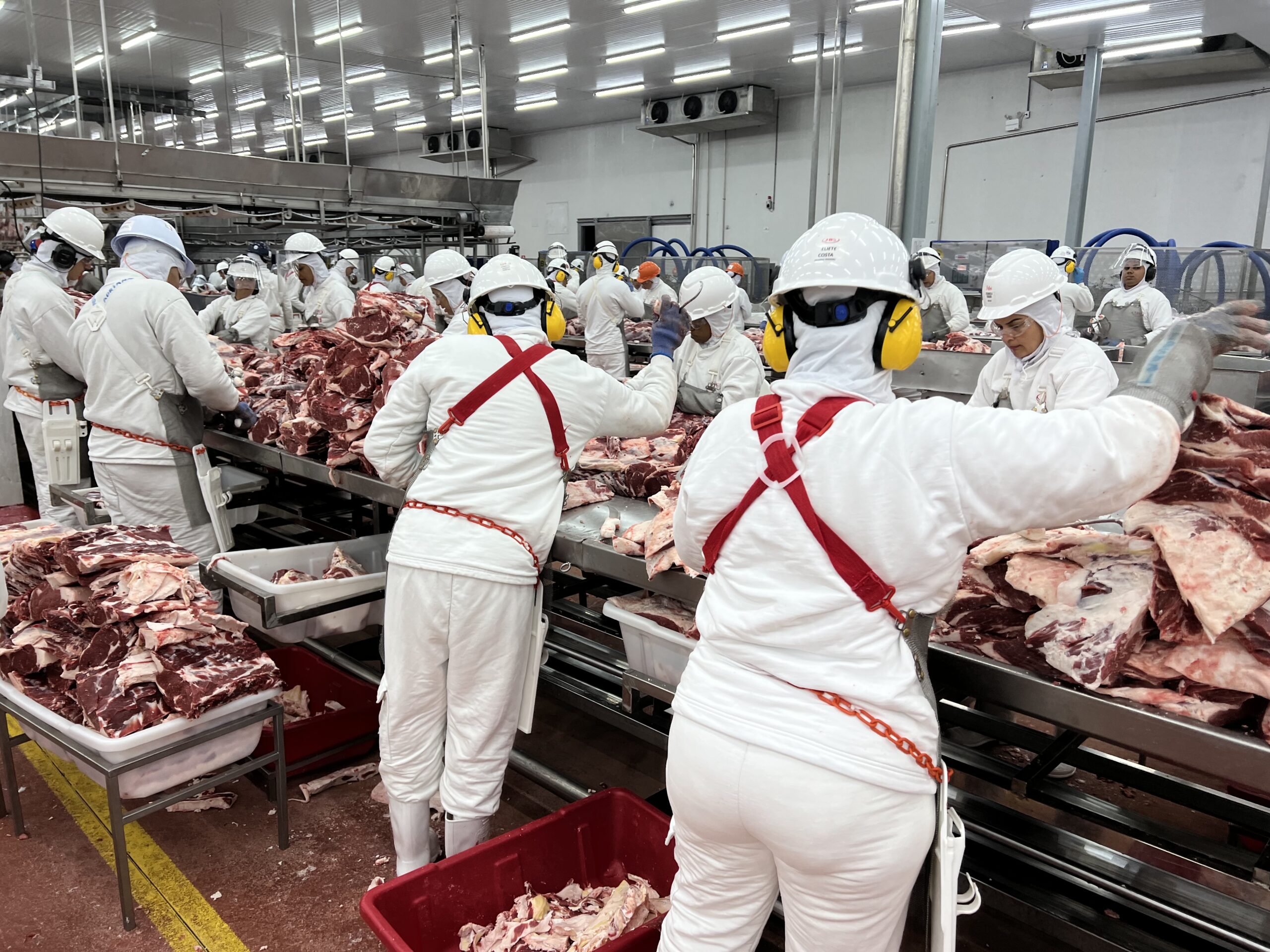 The human cost of the global meat industry - SOMO